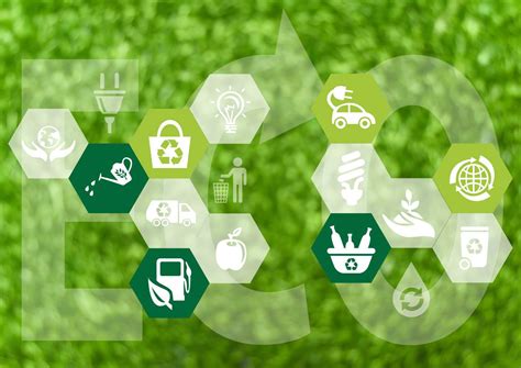 The ROI of Eco-Friendly Upgrades: What Sellers Need to Know | American ...
