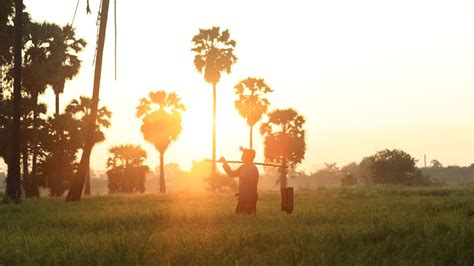 How Ai Robotics And Automation Will Shape Future Diagnostics World Economic Forum