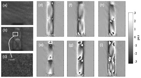Recorded Interferograms And Maps Of Modulo 2π Phase Gradients Obtained