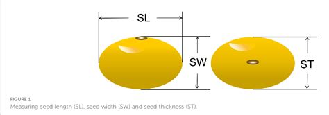 Figure 1 From Identification Of Major Qtls For Soybean Seed Size And
