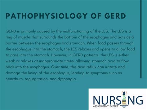 Gerd Nursing Assignment Helppdf