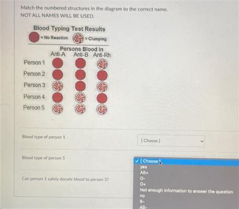 Solved Match The Numbered Structures In The Diagram To The