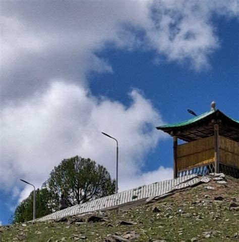 Архангай ХҮҮХДИЙГ ЗОДОЖ ШИЙТГЭХИЙН ЭСРЭГ ДЭЛХИЙН ӨДӨР 📣📣📣 🔰 Дэлхий