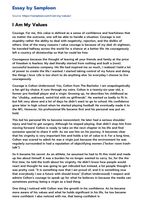 ≫ I Am My Values Free Essay Sample On