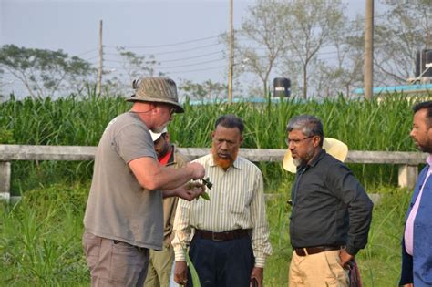Usaid Feedthefuture Livestockandnutrition Farmmanagement Forrage Fodder