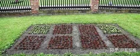 孟德尔诞辰200周年：一个超越时代的天才，和他留下的科学遗产 知乎