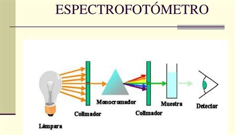 Esquema Espectrofotómetro ¡fotos And Guía 2024
