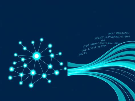 Domain Name System Vs Dynamic Host Configuration Protocol Netwerkbro
