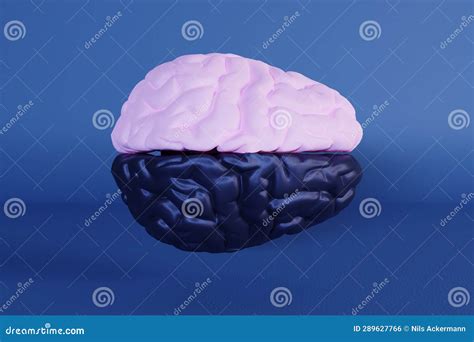 3d Render Of A Brain With Dark And White Cerebral Hemisphere Stock Illustration Illustration