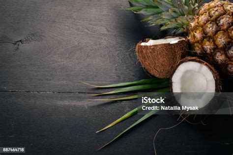 코코넛과 파인애플 나무 배경 열 대 과일 그리고 견과류입니다 최고의 볼 수 있습니다 텍스트에 대 한 여유 공간입니다 0명에 대한 스톡 사진 및 기타 이미지 Istock