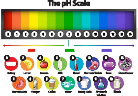The Ph Scale On White Background Image Picture Colourful Vector Image