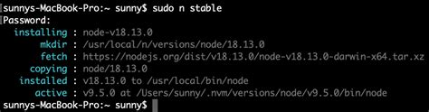 MacOS Sudo Permisson Error HARU