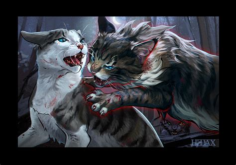 Krigerkatter Hawkfrost Og Ivypool Hawkfrost Warriors Wiki Fandom