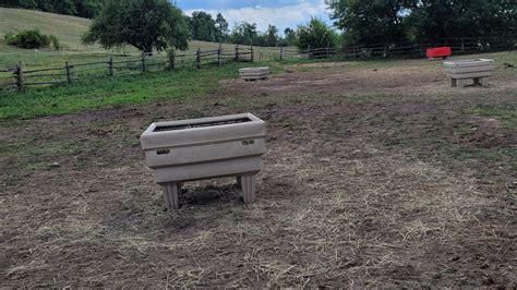 Reducing Horses' Hay Waste: How and Why | OptiMizer Education