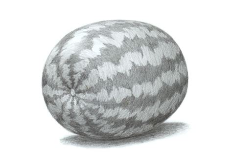 How To Draw A Realistic Watermelon Step By Step EasyDrawingTips