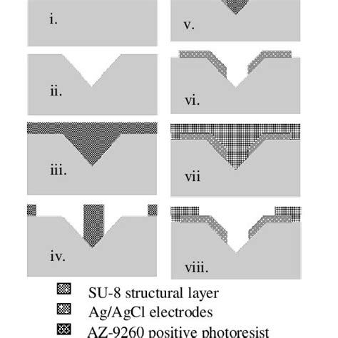 Key Steps In The Fabrication Process Of The In Silico Cell Physiology