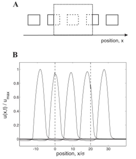12 Motion Occlusion In The Field Model Figure Adopted From Erlhagen