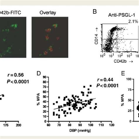 A Visualization Of Monocyte Platelet Aggregates By Immunofluorescence Download Scientific