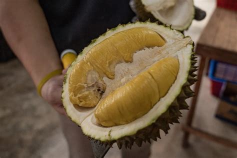 Raub Mp Chow Yu Hui In Hot Soup For Participation In Protests Against Durian Tree Felling