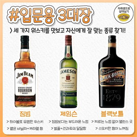 술잘알이 알려주는 위스키 종류별 특징들 지식사이트 위스키 버번 위스키 알코올 음료