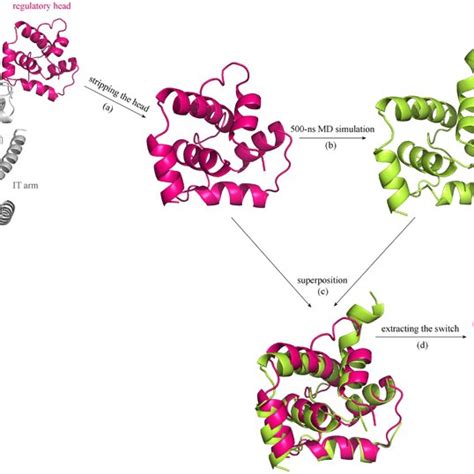 Crystal Structure Of Human Ctn Hetero Trimer Consisting Of Three