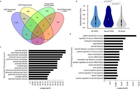 Hars Regulate Dosage Sensitive Genes Involved In Neural Development A