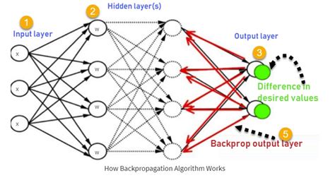unveiling backpropagation navigating the neural symphony by muhammad