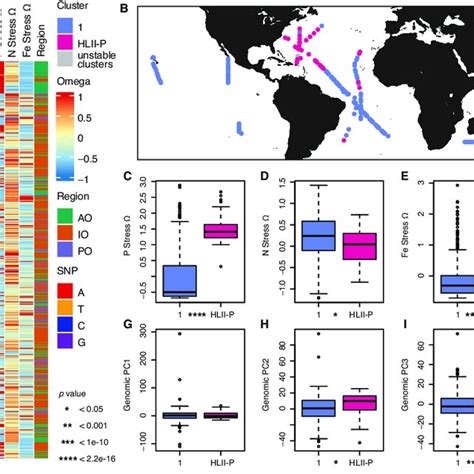 Global Rpoc1 Derived Phylogenetic Diversity Of Prochlorococcus Hlii A Download Scientific
