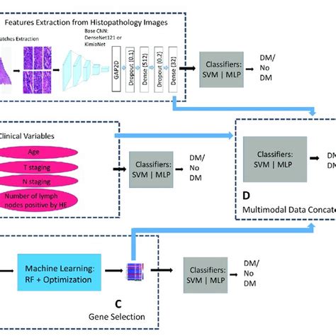 Binary Classifiers Trained On The Same Patients Records But With