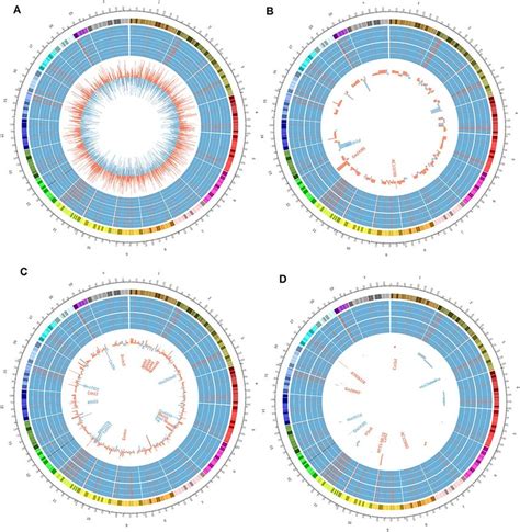 Transcriptome Landscapes Of Different Mouse Chromosomes In