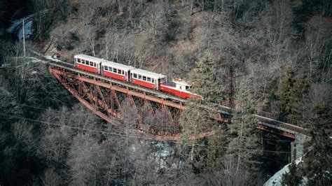 ტური ბაგებით სასტუმრო საფირი ბაკურიანში