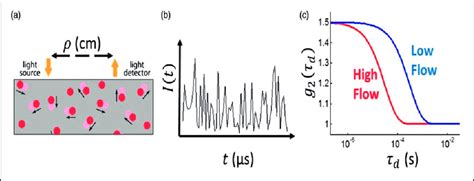 A Schematic Of The Homogeneous Semi Infinite Model Of The Head With