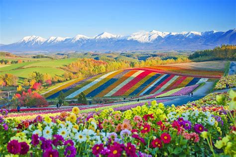 Hokkaido What You Need To Know Before You Go Go Guides