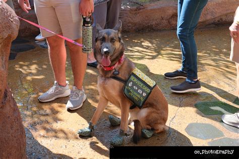 opencl oddness on framework laptop amd page 2 darktable