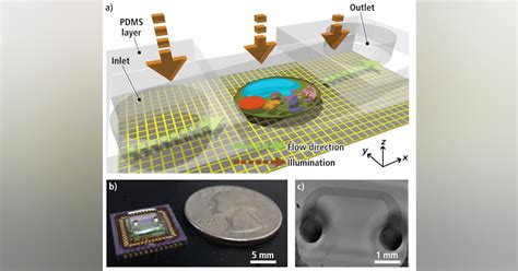 Medical Applications Lensless Microscopy System Reveals 3 D Structures