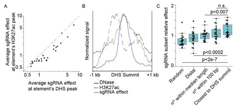 New Preprint Analyzing 130 Encode Crispr Screens — Reilly Lab