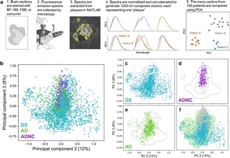 Pca Performed On Plaque Derived Fluorescence Spectra Reveals A Subset