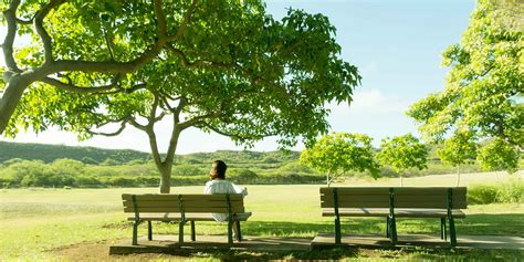 This Too Shall Pass Soulveda