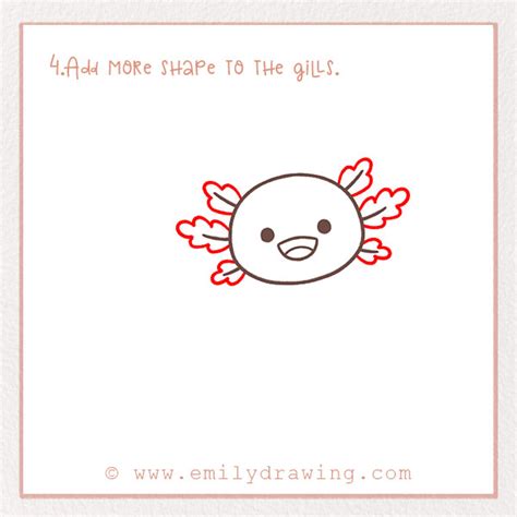 How To Draw An Axolotl Emily Drawing
