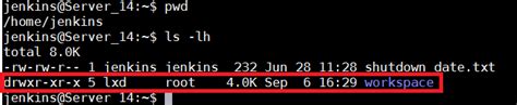 Jenkins Store Workspace Outside Docker Container Stack Overflow