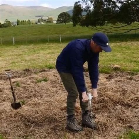 The Toolbox — Quorum Sense