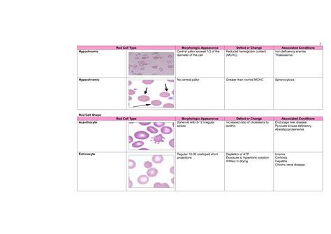 Solution Red Cell Abnormalities Comparative Chart Studypool