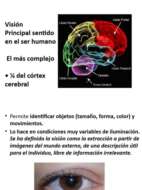 Sistema Visual Pdf