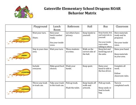 Ges Behavior Matrix Ms Y Dillards Class