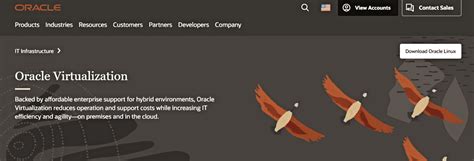 What Is Virtualization Benefits Types And Future Trends