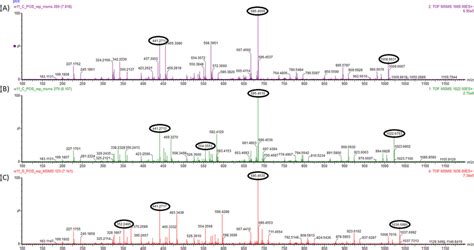 Lc Qtof Ms Ms Spectra Of [m H]⁺ Ions At A M Z 1008 Fragmentation Download Scientific Diagram