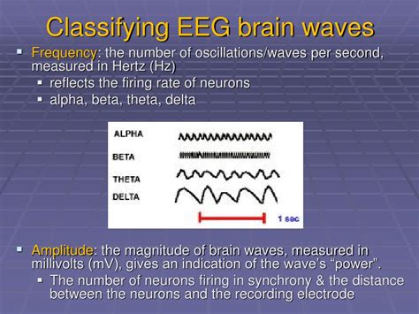 Ppt Eeg Brain Waves Seizures And Sleep Powerpoint Presentation