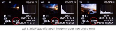 How To Read Understand Your Digital Cameras Histogram Camera Craft