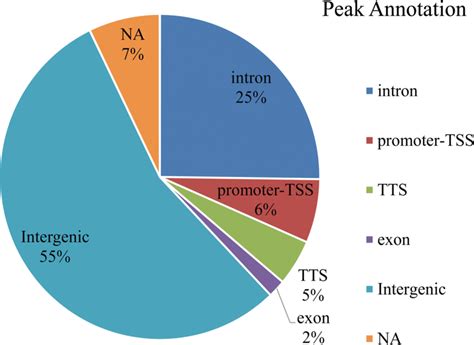 Distribution Of Peaks In Genomic Regions 2474 Kb Download
