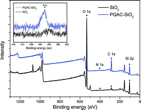 Xps Spectra Of Pristine Silica Nanoparticles And Pqacsio2